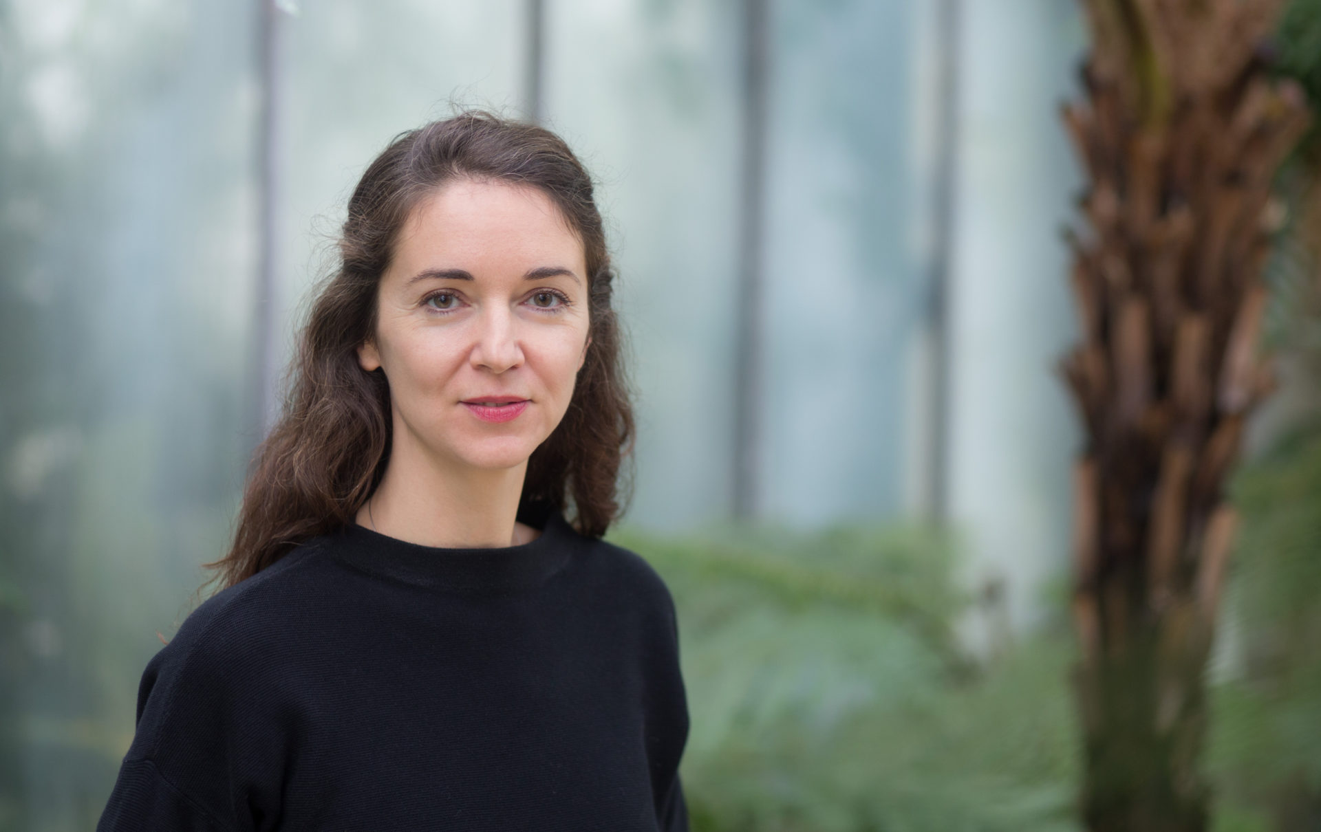 Familiengeschichten. Iris Wolff und Andreas Platthaus öffnen die Türen ...